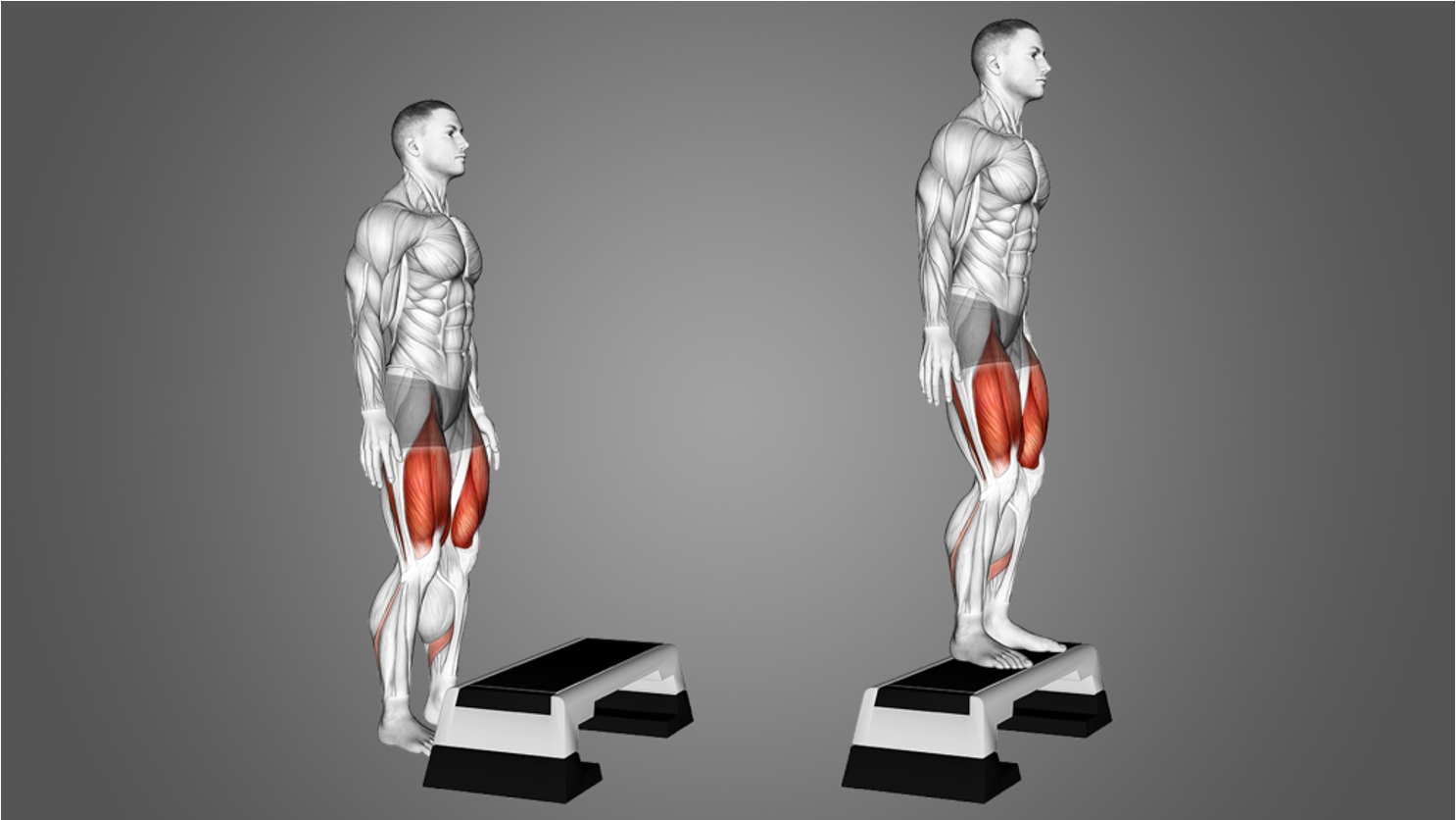 Step Ups vs Bulgarian Split Squats: Benefits & Muscles Worked