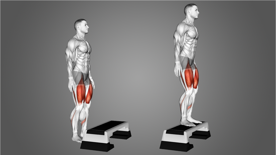 Step Ups vs Bulgarian Split Squats: Benefits & Muscles Worked