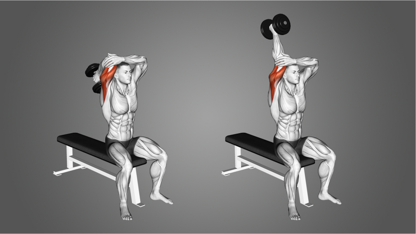 Overhead Triceps Extension vs Skull Crusher: Differences, Benefits & M