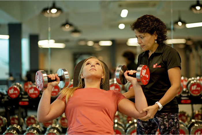 PPL vs Upper/Lower Split: Which is More Effective?
